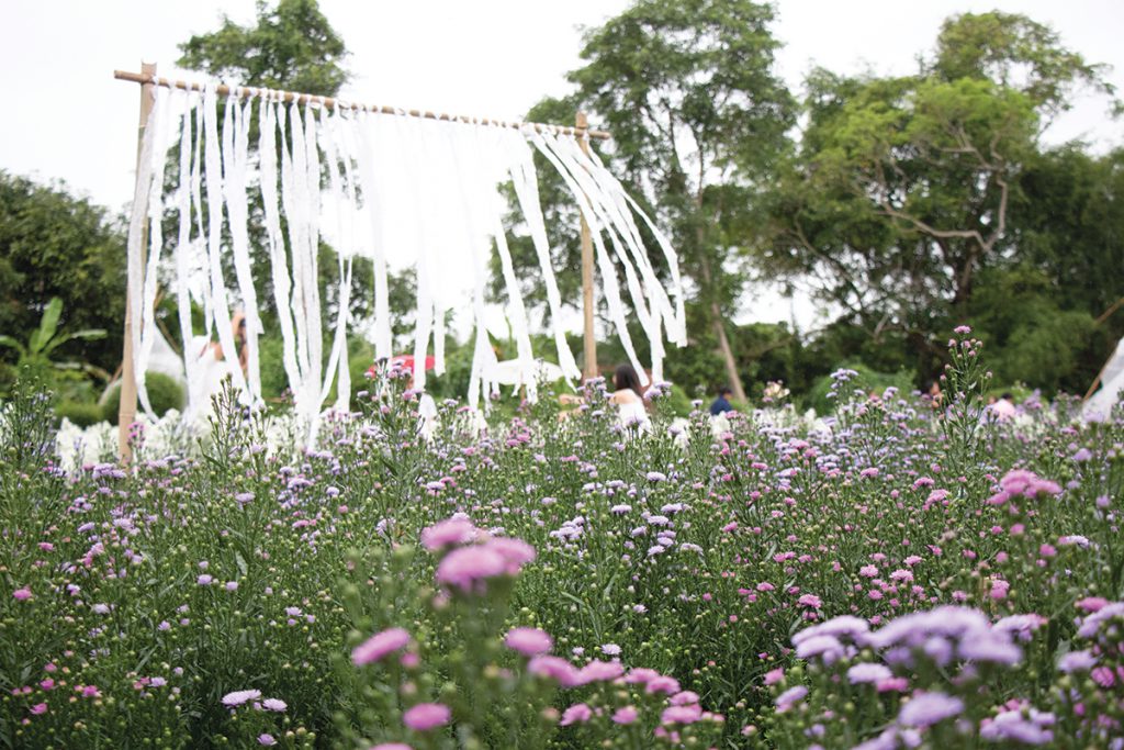 ADD COLOUR TO YOUR BEAUTIFUL NEW YEAR AT THESE 5 TRENDY Gardens in ...