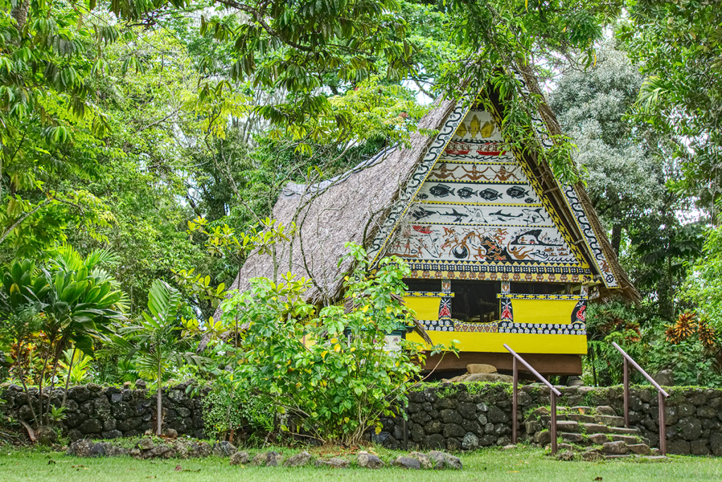 PALAU THE ULTIMATE UNSEEN ISLAND OF PACIFIC OCEAN | NOW TRAVEL ASIA