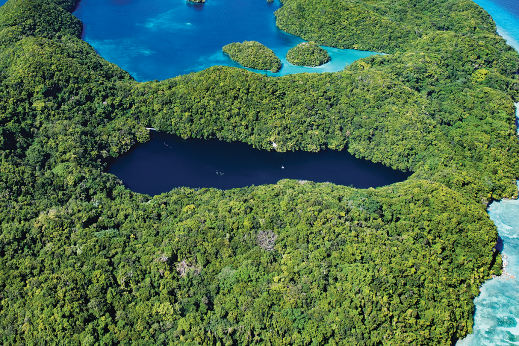 PALAU THE ULTIMATE UNSEEN ISLAND OF PACIFIC OCEAN | NOW TRAVEL ASIA
