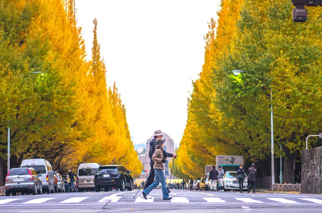 4_Meiji Jingu Gaien1 | NOW TRAVEL ASIA