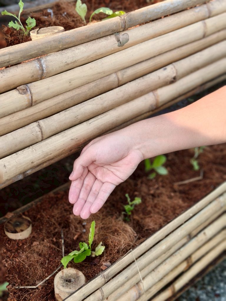 MASON Loves the Earth Back through 5 Environmental Activities to ...